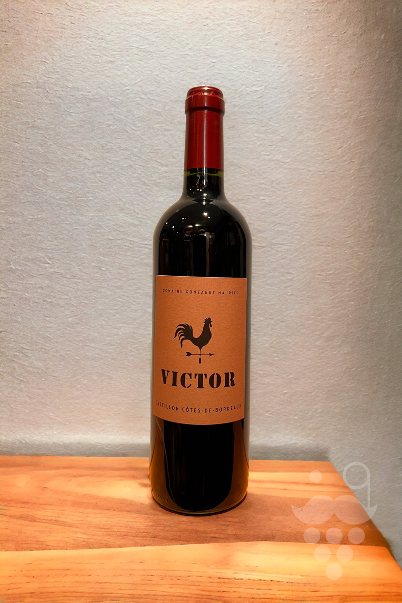 Domaine Gonzague Maurice Victor Castillon Côtes de Bordeaux - Occasion ...